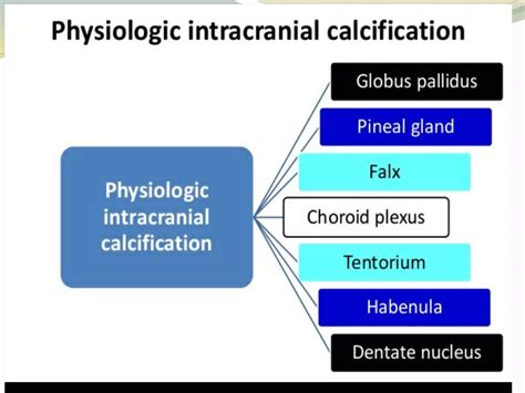 Physiological And Pathological Calcification Of Brain Pptx