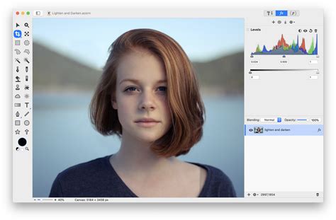 Lighten Or Darken Acorn 8 Docs