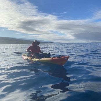 Ocean Safaris Kayak Adventures Updated November 2024 118 Photos