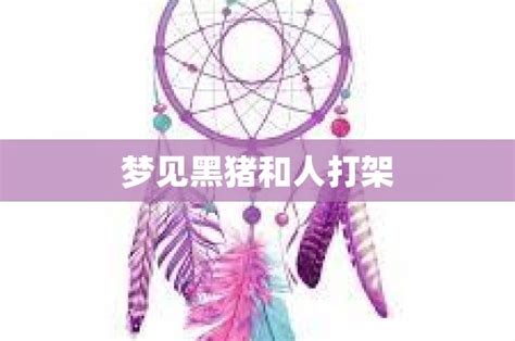 梦见黑猪和人打架 命理解梦