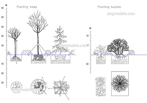 Trees And Plants DWG Models CAD Drawings Free Download