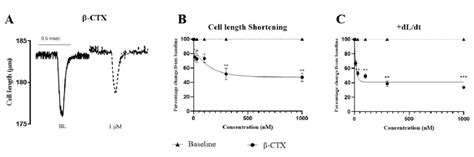 Effects Of β Ctx On Isolated Cardiomyocyte Inotropy A Original