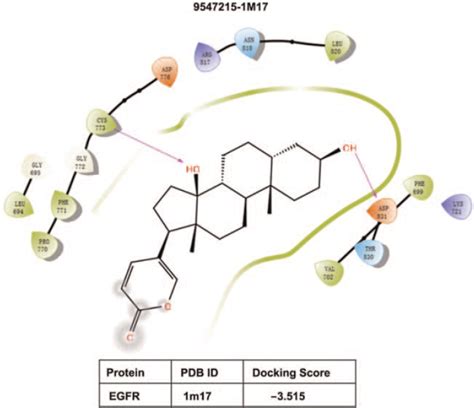 Bufalin Suppresses Ovarian Cancer Cell Proliferation Via Egfr Pathway Pmc