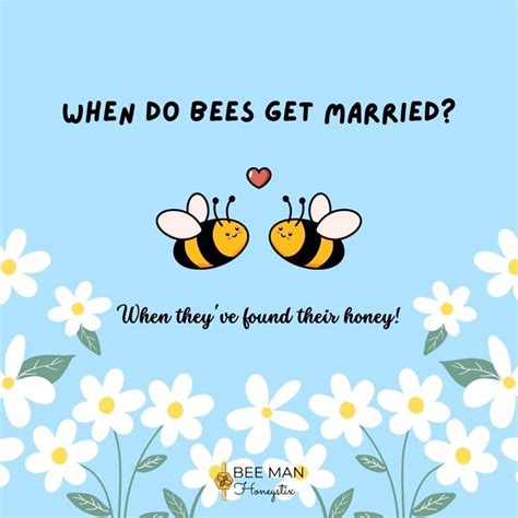 Bee Jokes Fri Yay With A Side Of Bee Humor 🎉🐝