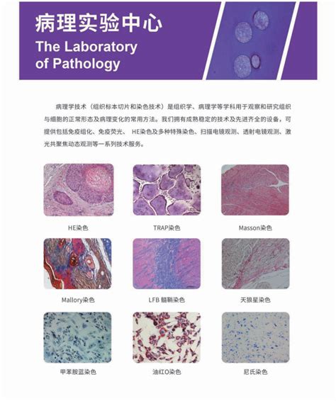 贵州实验室设备实验仪器贵州实验室设备维修实验室维护 贵州鸿鹄昊天科技有限公司