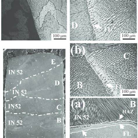 Microstructure Of Aisi 304l Ss Substrate And Inconel 52m Cladding Download Scientific Diagram