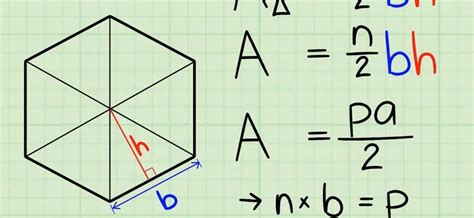 Regular Polygon Area Calculator Healthy Food Near Me