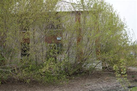 Село Луговое - Города и веси России — LiveJournal
