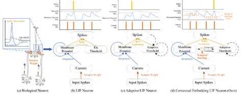 Unleashing The Potential Of Spiking Neural Networks For Sequential
