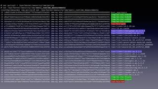 Linux Integrity Mechanisms Protecting Container Runtime As An Example