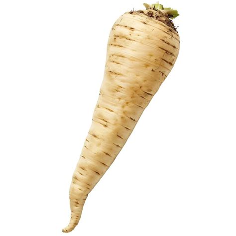 Premium Photo Parsnip Root Vegetable Tapered Shape Characterized By Its Wh Isolated On White