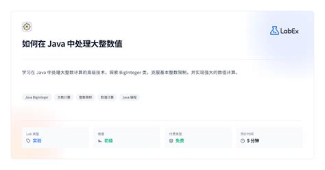 如何在 Java 中处理大整数值 Labex
