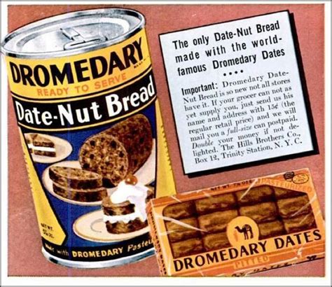 Old Fashioned Date Nut Bread Recipe
