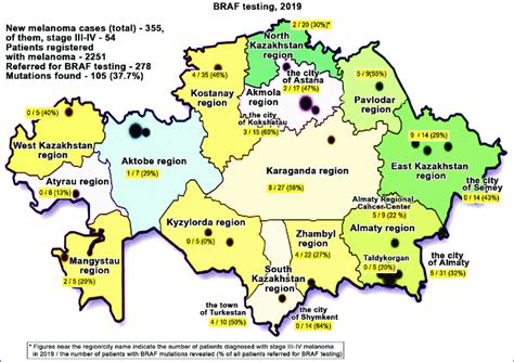 The Results Of Molecular Genetic Testing For Braf V600 Mutations In Download Scientific
