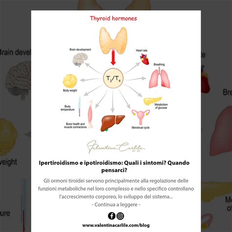 Ipertiroidismo E Ipotiroidismo Quali I Sintomi Quando Pensarci