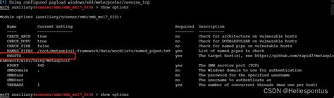 信息系统安全——基于 kali 和 metasploit 的渗透测试 怎么用metasploit framework对系统进行安全测试 csdn博客
