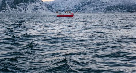 Maritime Ais Data Orbcomm