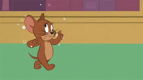 Tom And Jerry Jerry  Tom And Jerry Jerry Dizzy Discover And Share S