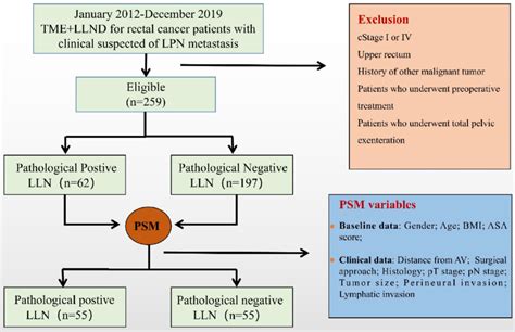 Research Flowchart Tme Total Mesorectal Excision Lln Lateral Lymph Download Scientific