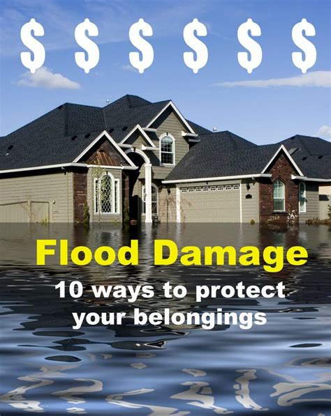 How To Prevent Flood Damage Before It S Too Late Suburbia Unwrapped