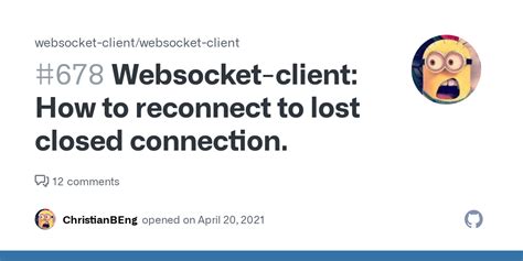 Websocket Client How To Reconnect To Lost Closed Connection Issue Websocket Client