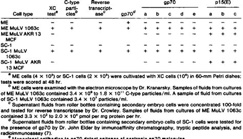 Expression Of MuLV By MuLV Infected And Uninfected Embryo Cells Download Table