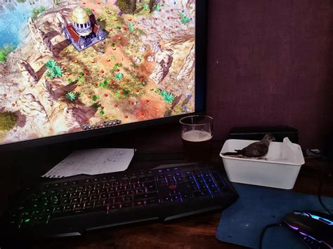 A Picture Of My Cousin With His New Gaming Setup R Lies