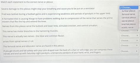 Match Each Statement To The Correct Nerve Or Plexus Chegg Com