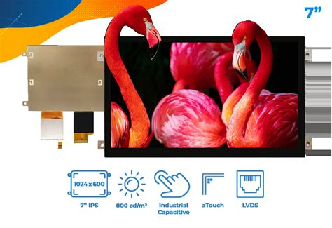 High Brightness IPS Display TFT LCD X Px LVDS Interface RVT HSLFWCA Riverdi