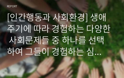 인간행동과 사회환경 생애주기에 따라 경험하는 다양한 사회문제들 중 하나를 선택하여 그들이 경험하는 심각한 사회문제나 이슈를 찾아 문제점과 해결 방안을 제시하시오 레포트