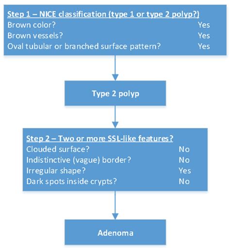 WASP Classification Optical Diagnosis Of Polyps Endoscopy Campus