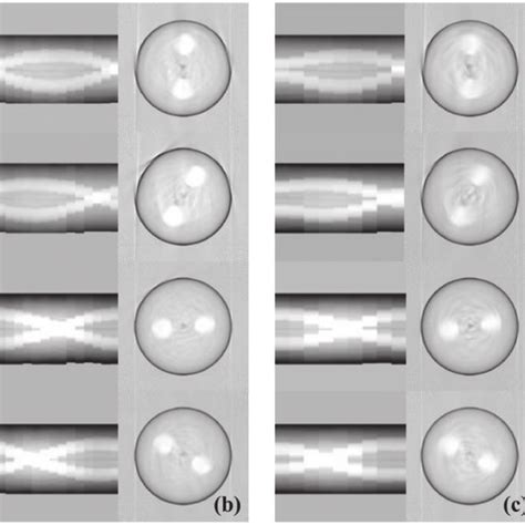 Sparse View Reconstruction Results Of The Spun Polarization Maintaining Download Scientific