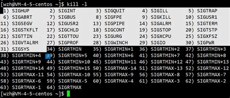 【linux】进程信号的产生与捕捉、核心转储捕获进程信息 Csdn博客 【linux】进程信号的产生与捕捉、核心转储捕获进程信息 Csdn博客