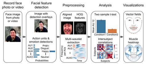 A Guide To Facial Expression Analysis Using Py FEAT