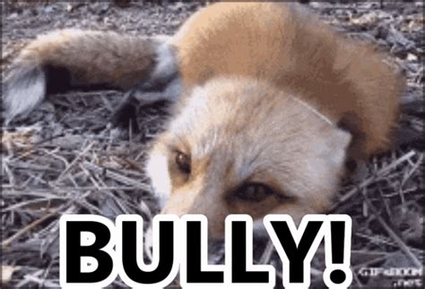 Bully  Bully Discover And Share S