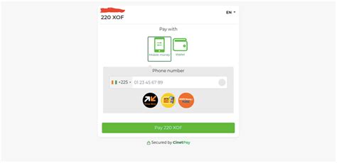 Guide For Odoo Website Cinetpay Checkout Payment Acquirer Webkul Blog