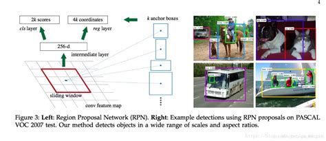 Faster R Cnn中的rpn和anchor机制理解为什么rpn层能够存储anchor的信息 Csdn博客
