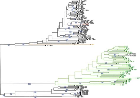A Dendrogram Constructed On Dissimilarity Matrix Between Analysed