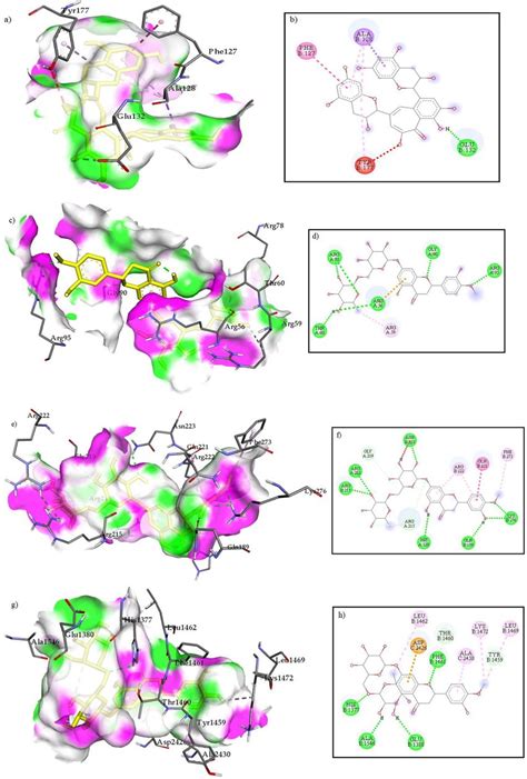The 3d And 2d Illustrations Of The Best Binding Mode And Interacting Download Scientific