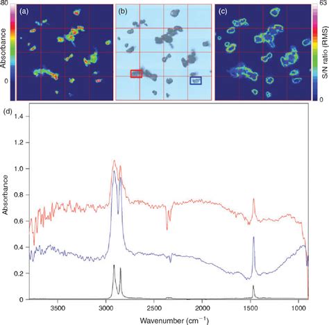 table 1 from focal plane array detector based micro fourier transform infrared imaging for the