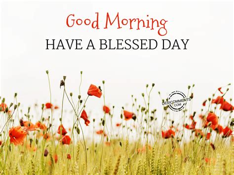 Good Morning Have A Blessed Day Images