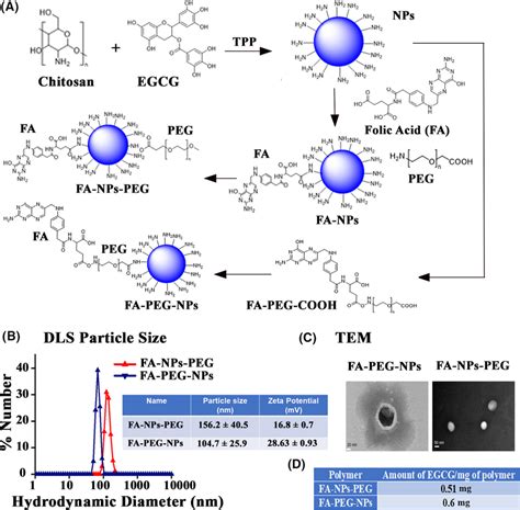 Diagrammatic Illustration Of Spatio‐selective Activation And Synthetic Download Scientific