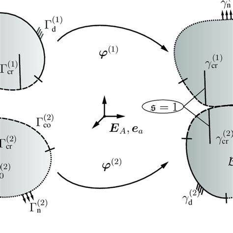 Karush Kuhn Tucker Conditions For Frictionless Contact Solid Line Download Scientific Diagram