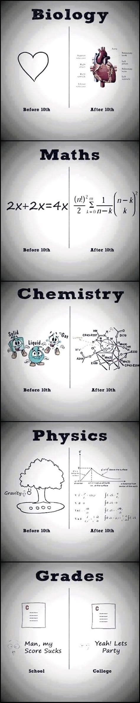 20 Gramatical Errors Ideas Bones Funny Funny Pictures Funny Memes