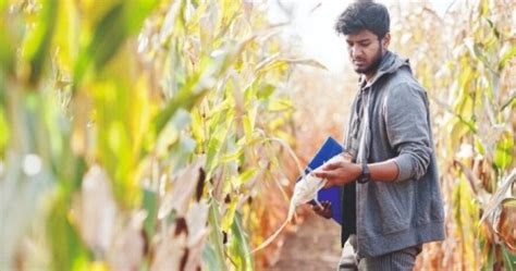 Scope Of Agricultural Education In India Career In Agricultural