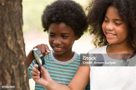 십대 소년과 소녀는 돋보기를 통해 나무 줄기를 검사합니다 돋보기로 나무에서 자연을 탐험하는 아프리카 계 미국인 어린이 그룹 교육 및 발견 개념 놀기에 대한 스톡 사진 및