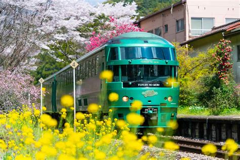 乘坐觀光列車「由布院之森」前往小小奢華的湯布院春之旅！｜the Gate｜日本旅遊觀光雜誌・提供觀光旅遊信息