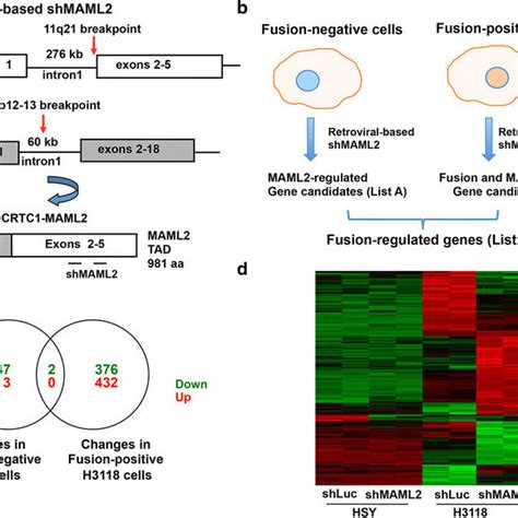 Transcriptional Profiling Analysis Revealed Target Gene Candidates Download Scientific Diagram