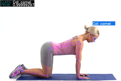 GitHub Dawi9840 Mediapipe Pose Classification With Tf Mediapipe Pose Classification With Tf