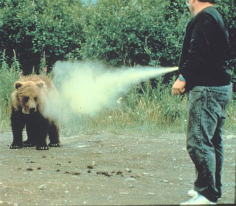 Does Bear Spray Work On Mountain Goats Mudfooted